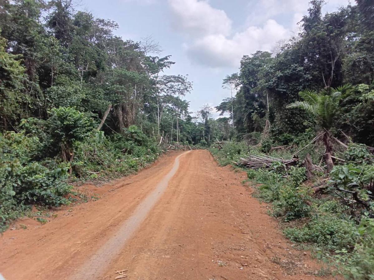 RDC : 60 ans après, les routes des territoires du Maniema seront ...